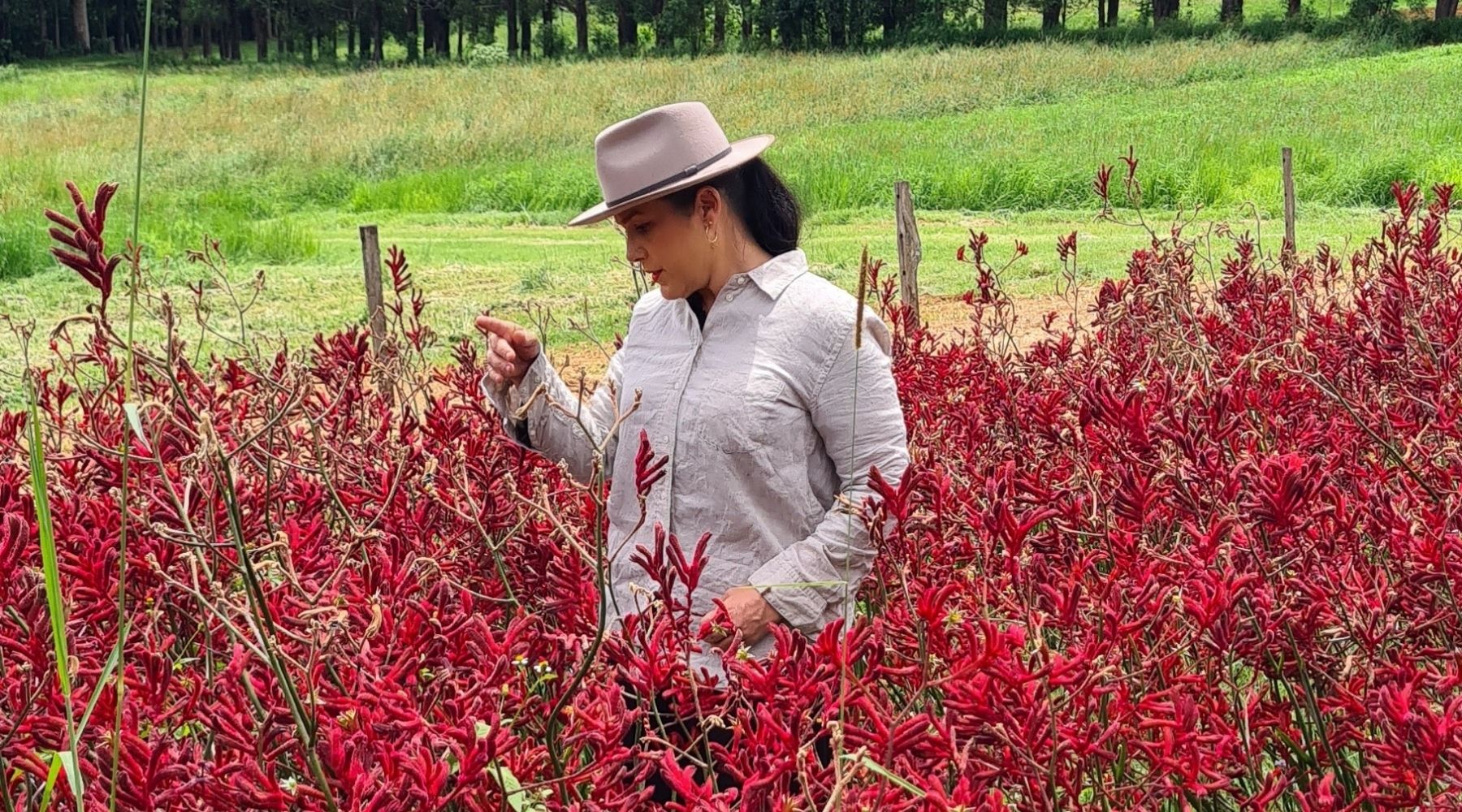 Lisa Carroll Selected as BeautyMatter NEXT Award Finalist for “Change – NATIVE EXTRACTS