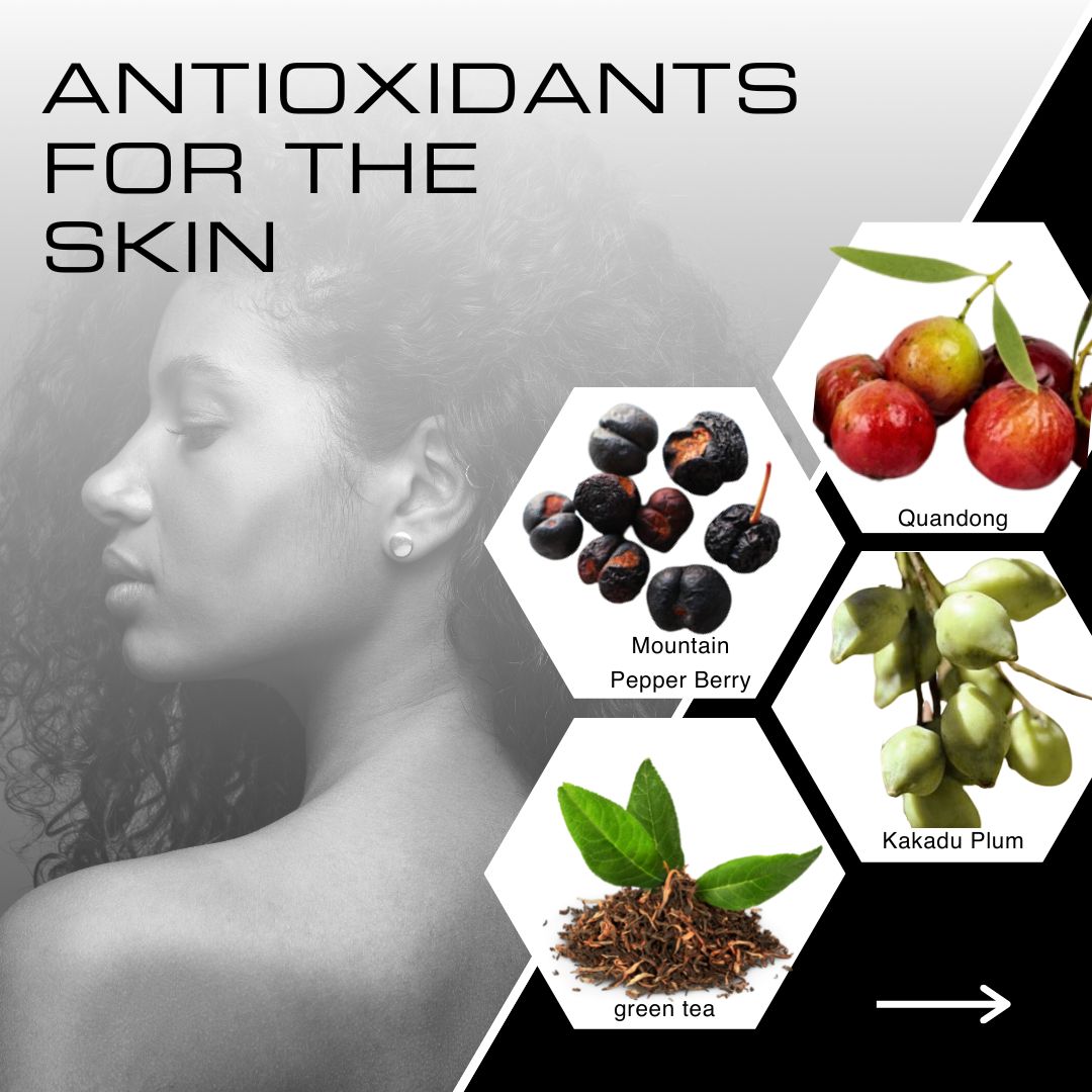 What the Science Says about Antioxidants and your Skin – NATIVE EXTRACTS