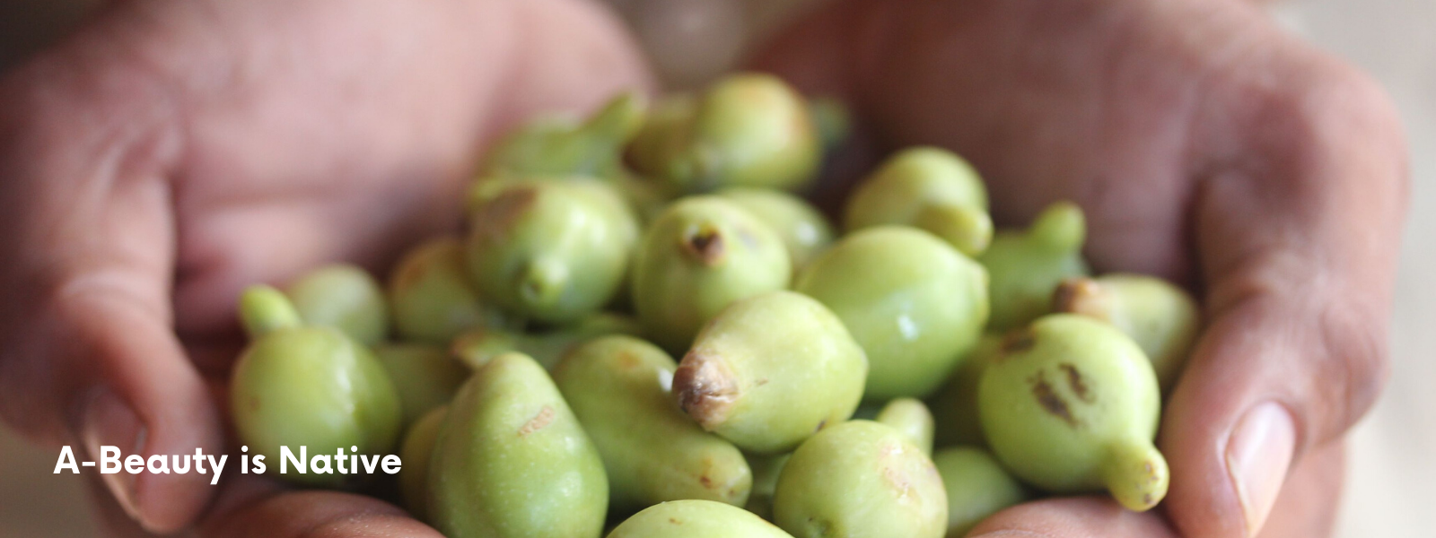 A-Beauty is Native – NATIVE EXTRACTS