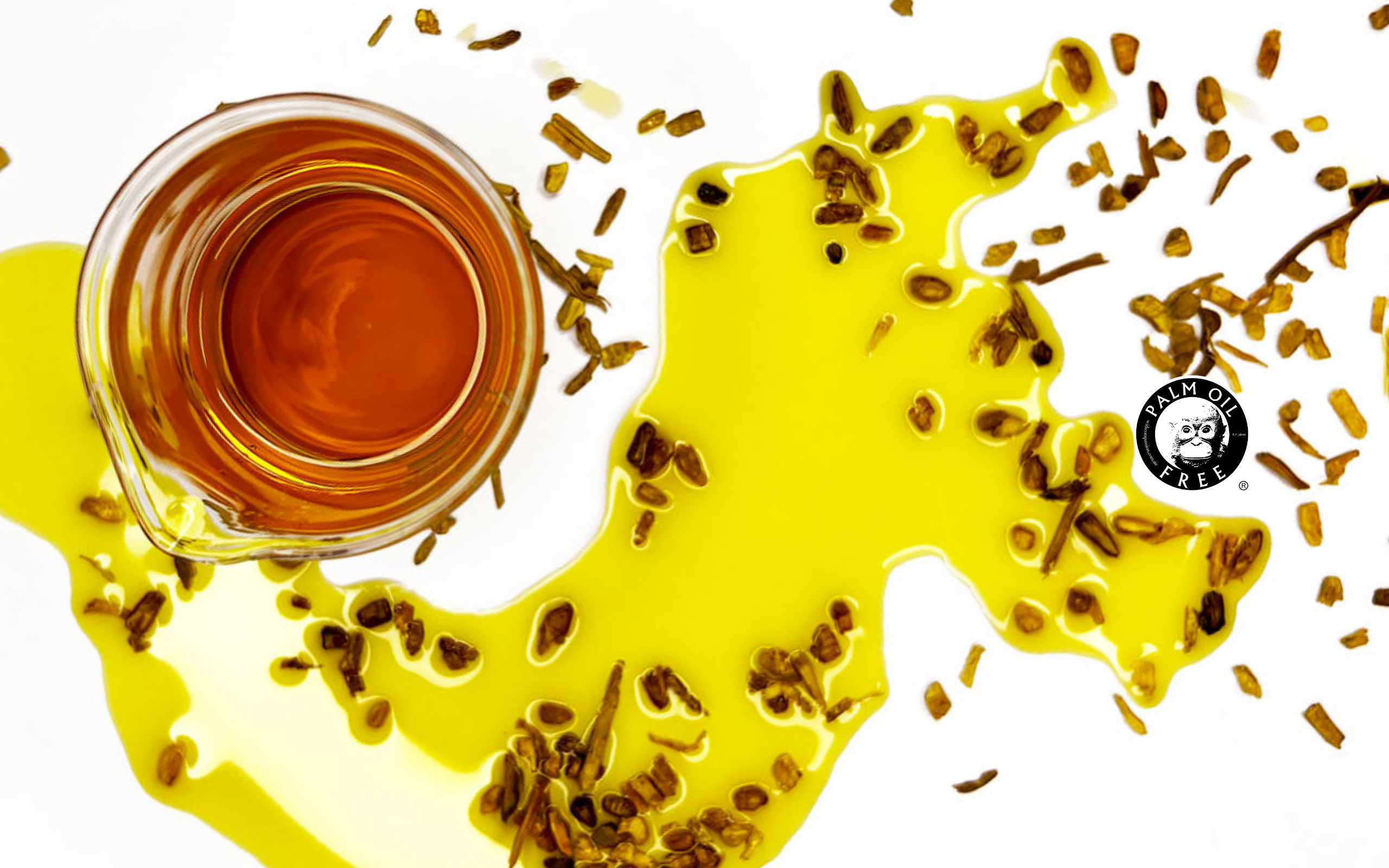 FROM THE PHARMACOPEIA: BEARBERRY LEAF – NATIVE EXTRACTS