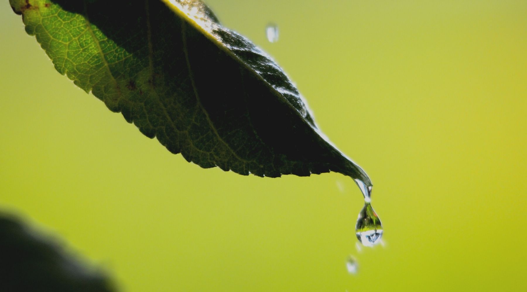 WATERLESS - WATER WISE - WATER CLEVER: the Age of Water-Conscious Prod ...