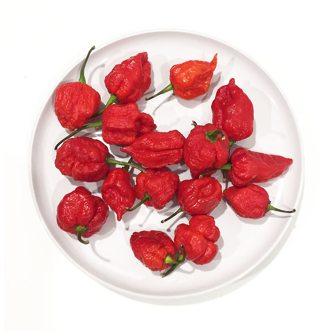 Carolina Reaper Cellular Extract – NATIVE EXTRACTS