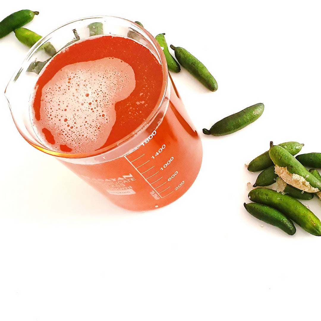 Finger Lime Caviar Cellular Extract – NATIVE EXTRACTS