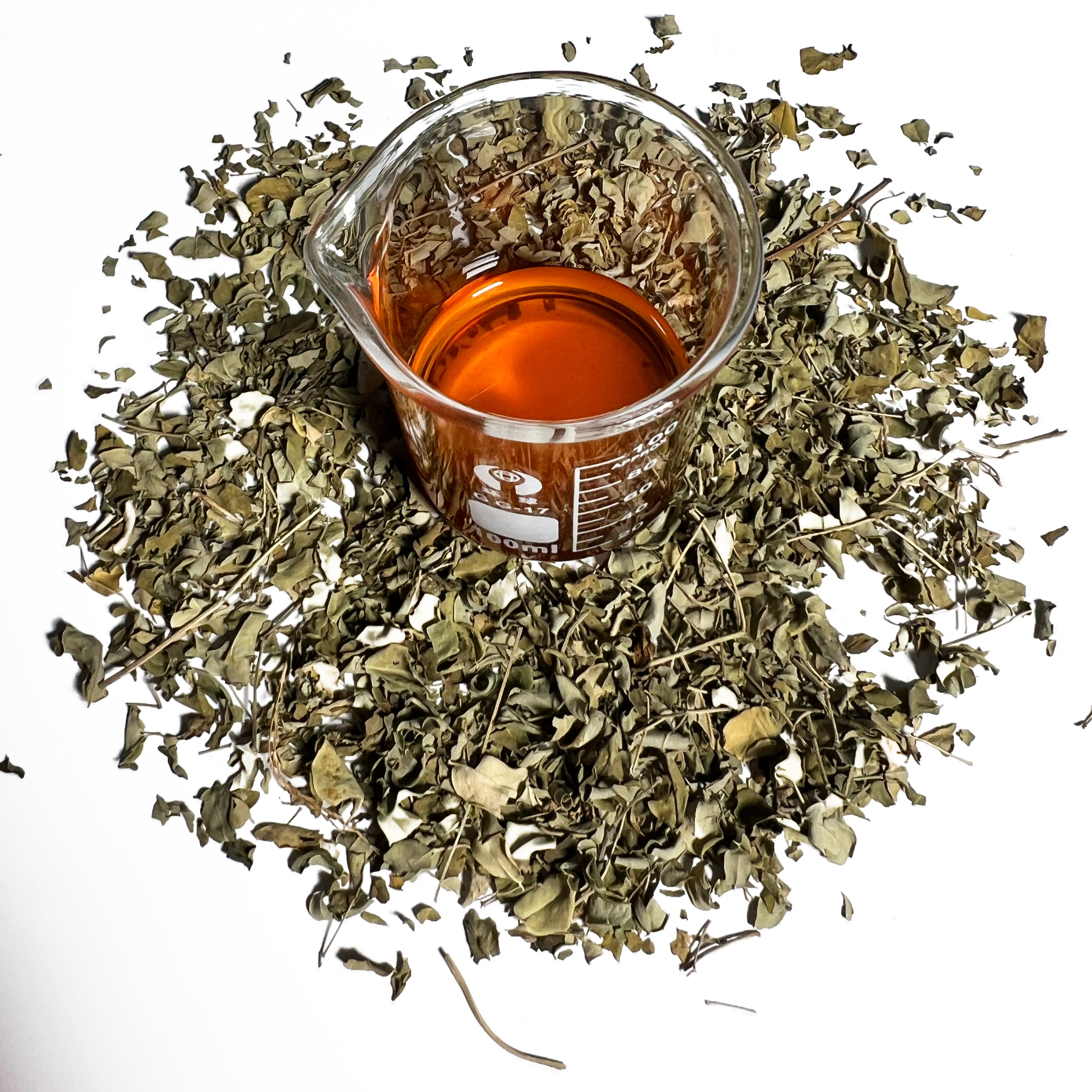 Moringa Cellular Extract – NATIVE EXTRACTS