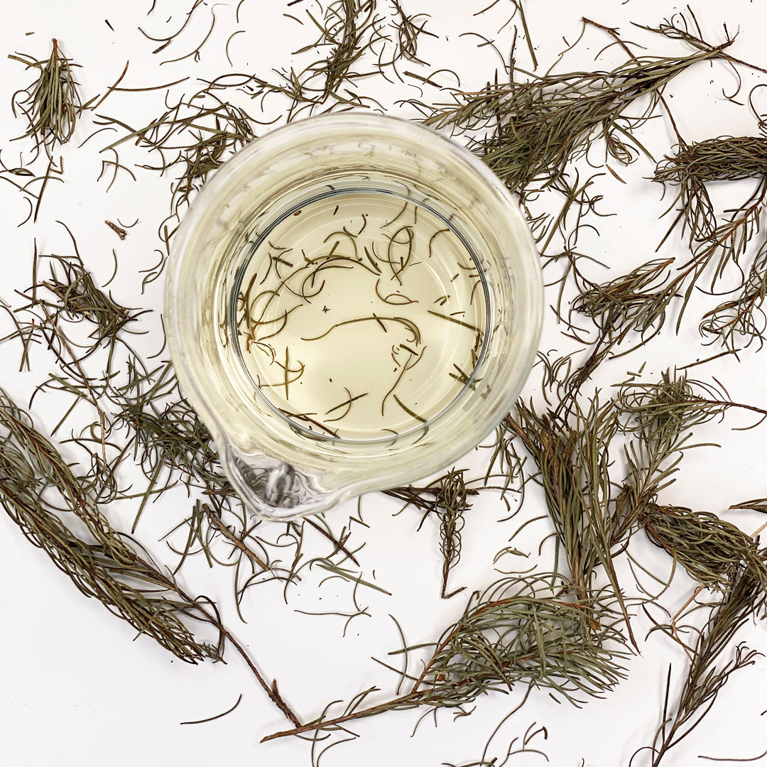 Native Snowflower Cellular Extract – NATIVE EXTRACTS