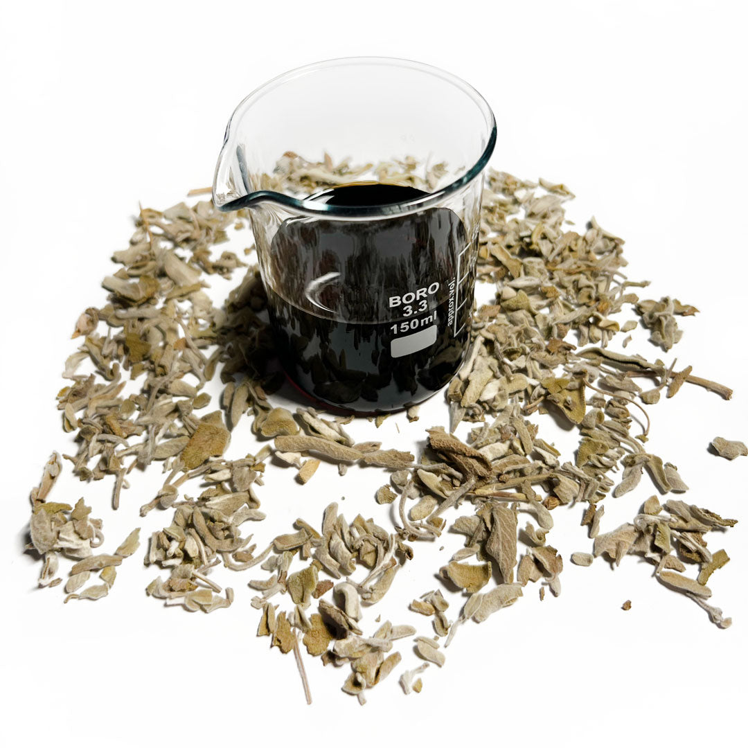 Sage Cellular Extract – NATIVE EXTRACTS