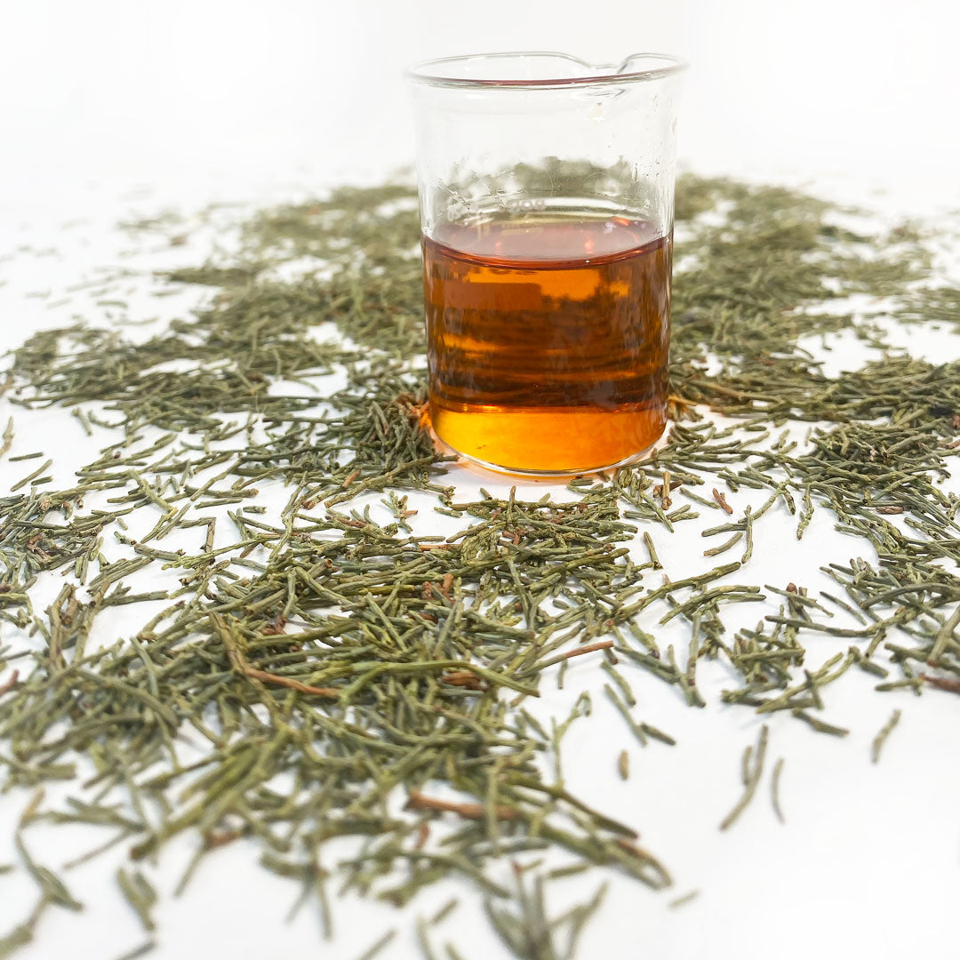 White Cypress Leaf Cellular Extract – NATIVE EXTRACTS