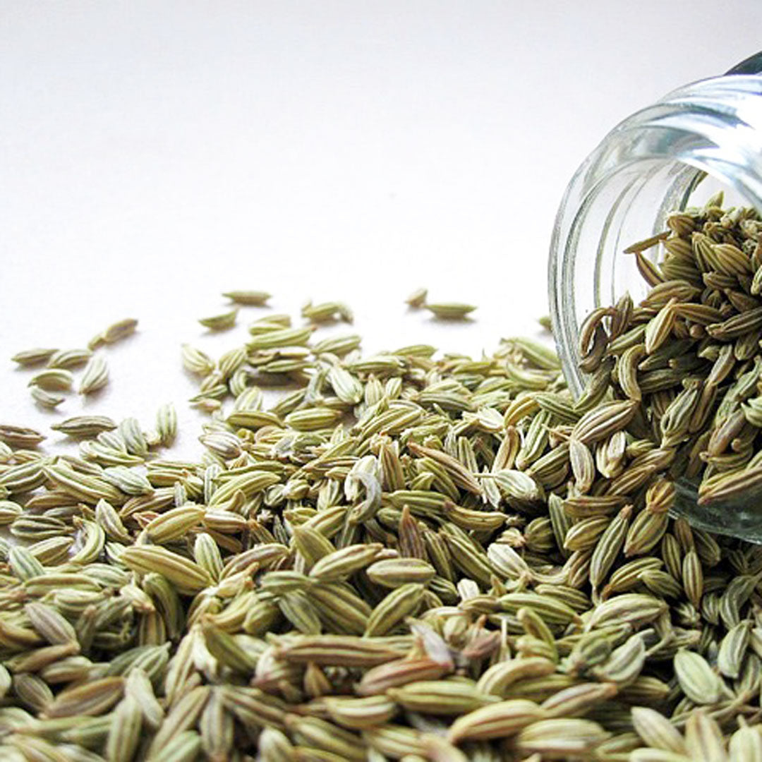 Fennel Seed Cellular Extract – NATIVE EXTRACTS