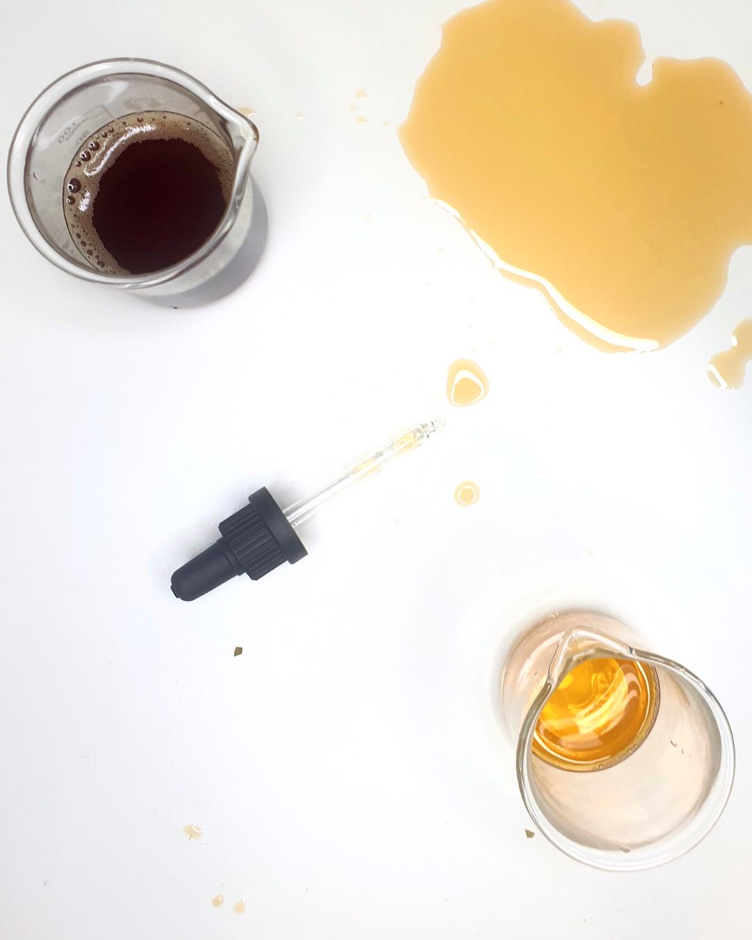 Yerba Mate Cellular Extract – NATIVE EXTRACTS