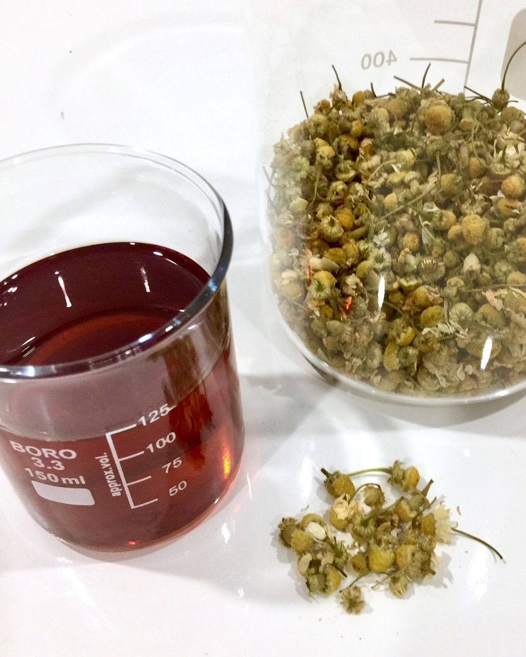 Chamomile Cellular Extract – NATIVE EXTRACTS