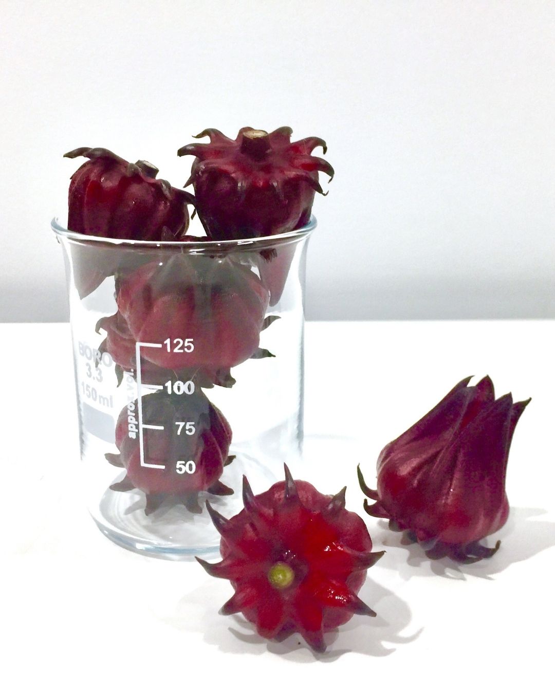 Rosella Cellular Extract – NATIVE EXTRACTS