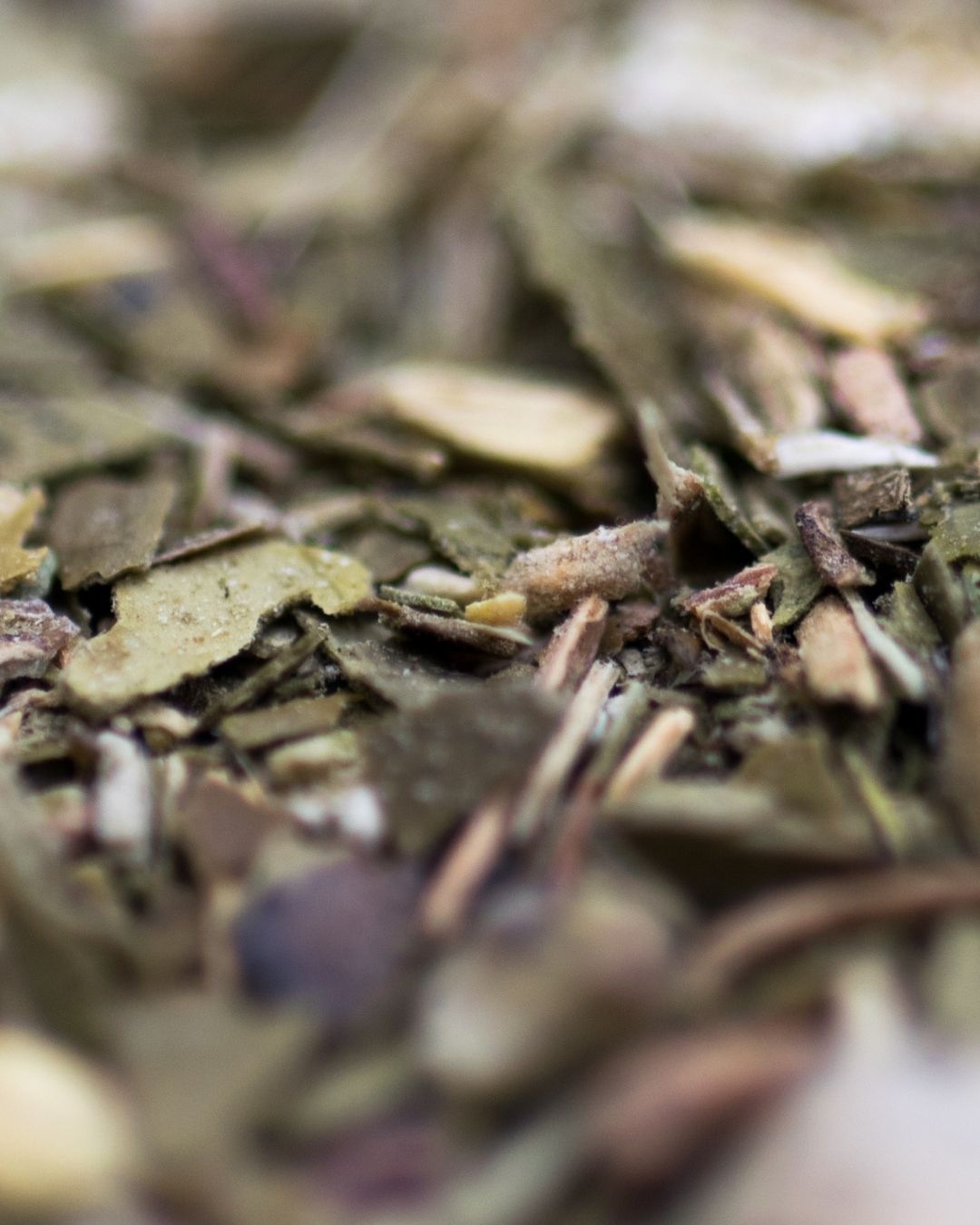 Yerba Mate Cellular Extract – NATIVE EXTRACTS